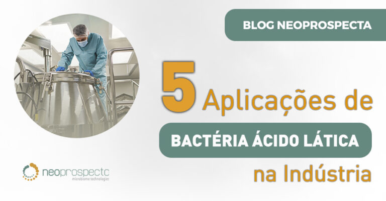 Bactéria ácido lática: 5 aplicações industriais que você talvez não ...